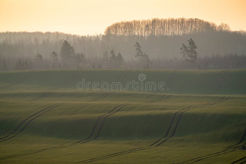 Wavy Field at Spring Sunrise Stock Image - Image of serene, scattered ...