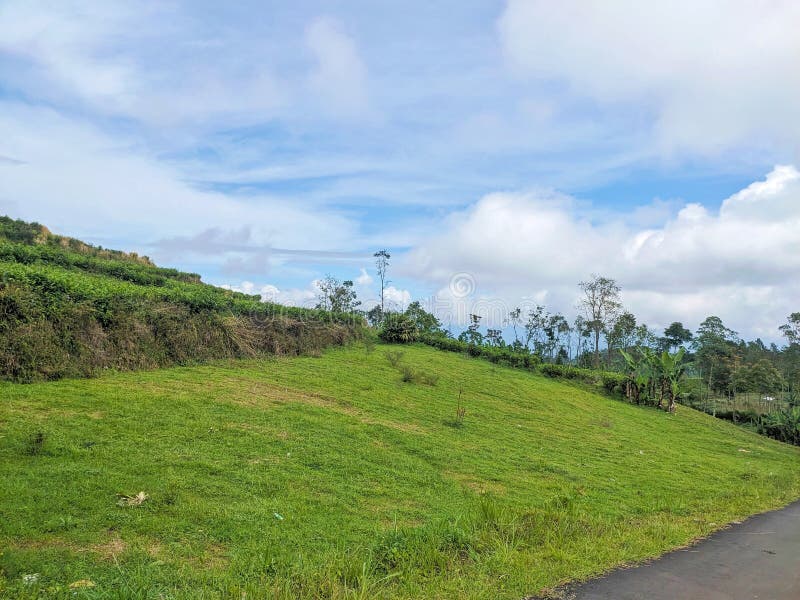 Gently Sloping Shore of a High-mountain Alpine Lake Tovel, Descending ...