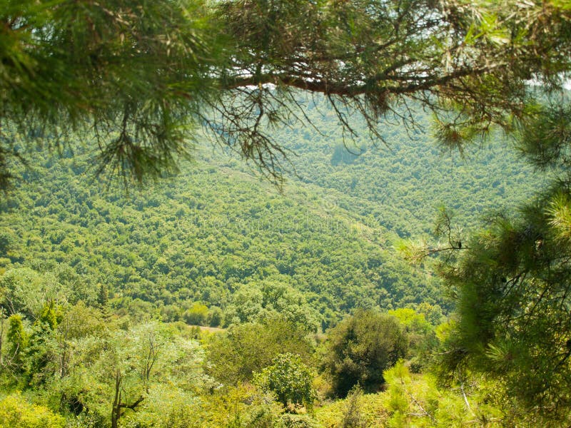 Gently Sloping Green Mountain Ridge Stock Photo - Image of deep, gentle ...