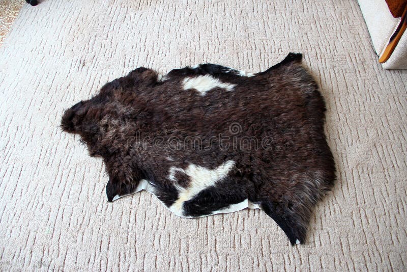 Genuine Lamb Skin on the Floor Stock Photo - Image of interior, floor ...