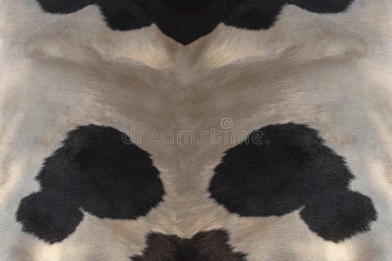 Genuine Leather Skin Cow for Design Stock Image - Image of pattern ...