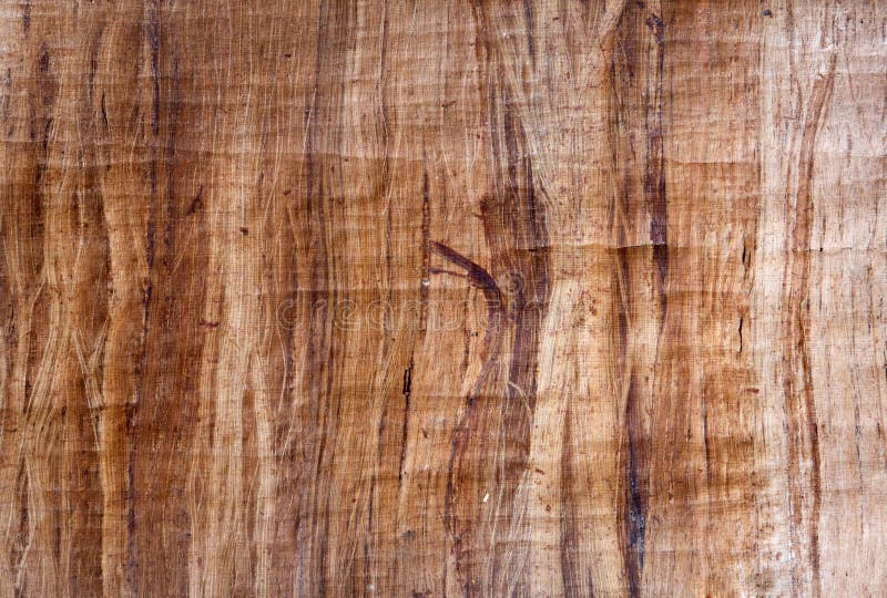 Genuine papyrus sheet stock photo. Image of pergament - 7787162