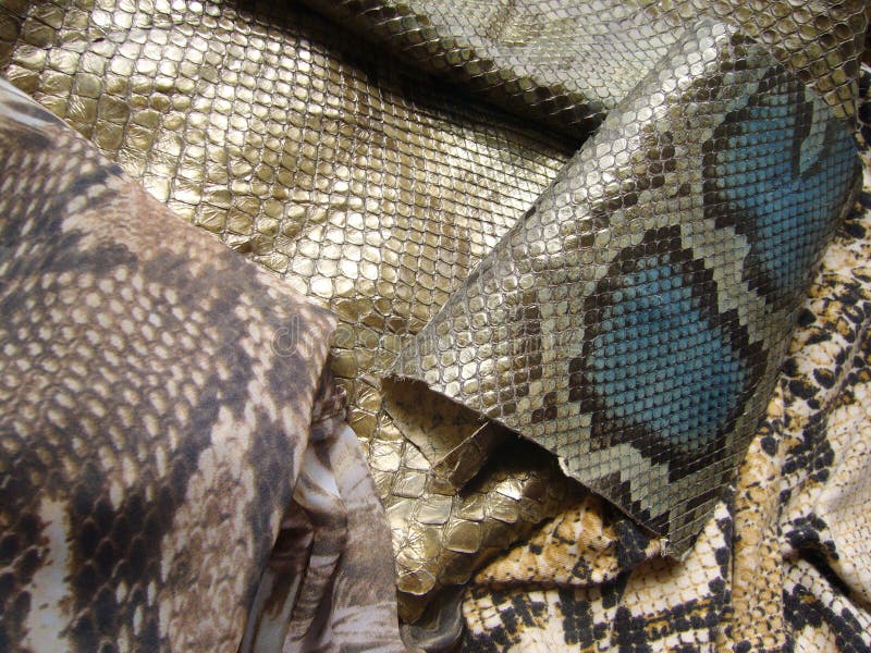 Turtle Prints Cartoon Stock Photos - Free & Royalty-Free Stock Photos ...