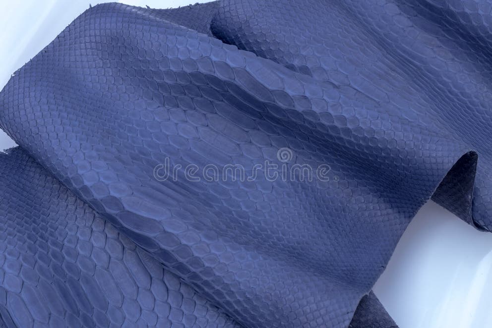Genuine Python Snakeskin Leather, Snake Skin, Texture Background. Stock ...