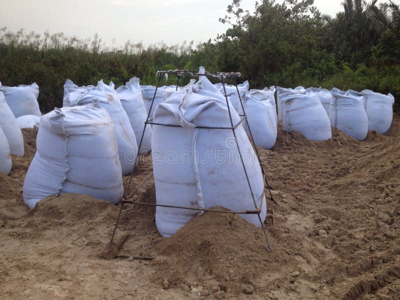 Geobag Stock Photos - Free & Royalty-Free Stock Photos from Dreamstime