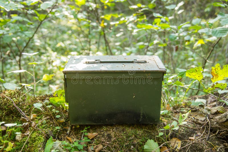 Geocaching Container in the Woods Stock Photo - Image of metal ...