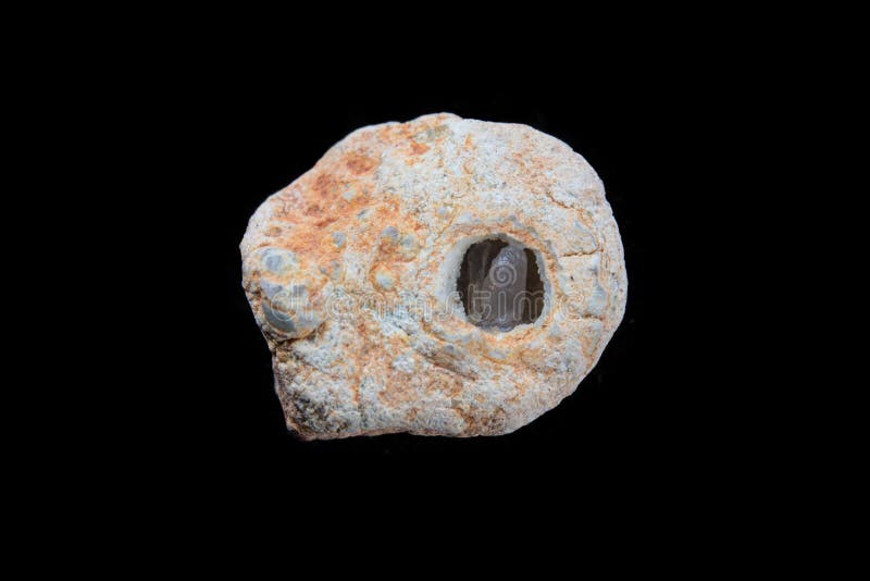 Geode Sample stock photo. Image of coral, life, black - 187803086