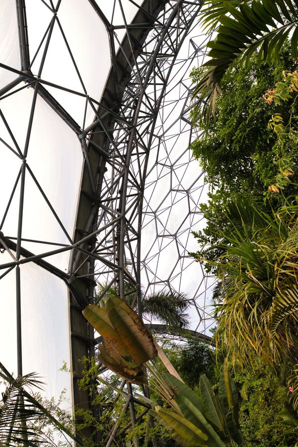 Geodesic Dome Surrounded by Tropical Plants at Eden Project in Cornwall ...