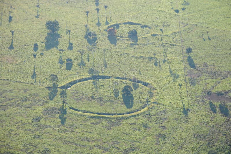 349 Amazon Grassland Stock Photos - Free & Royalty-Free Stock Photos ...