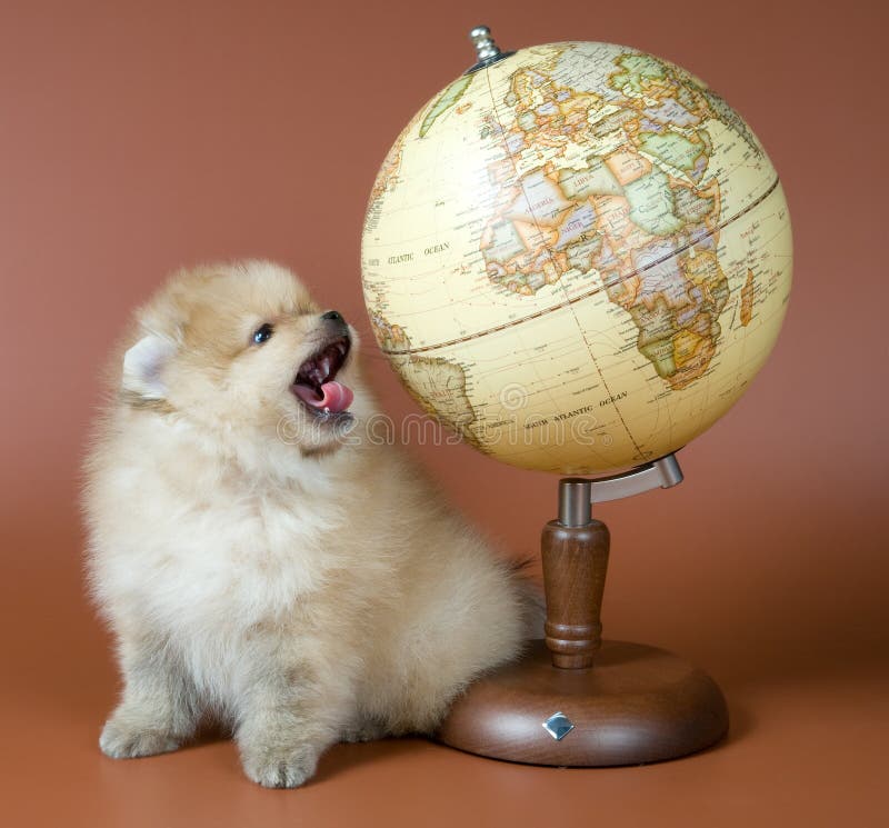 Arctic World Map Animals Stock Photos - Free & Royalty-Free Stock ...