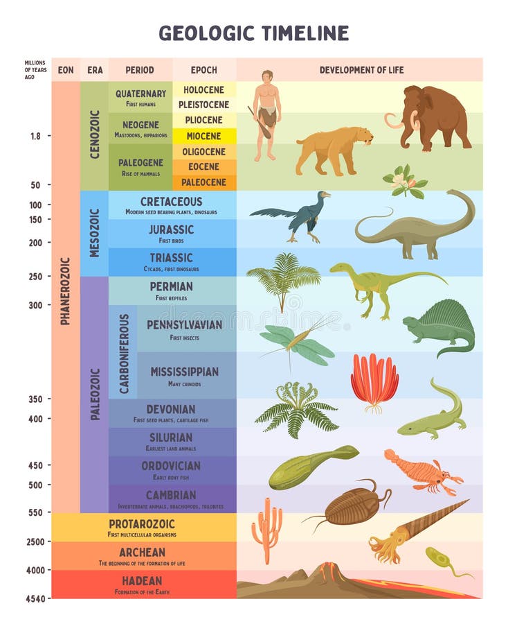 Geologic Timeline Scale Vector Illustration Stock Vector - Illustration ...