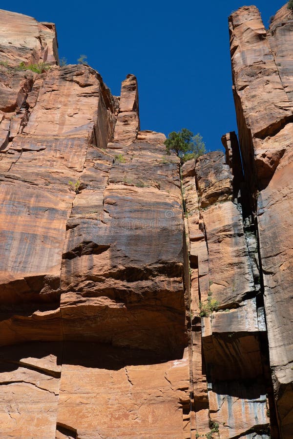 Geological Formations at Zion National Park in Utah Stock Photo - Image ...