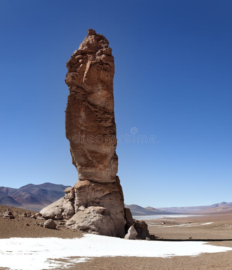 Vineyard in Chile stock photo. Image of america, valley - 6113684