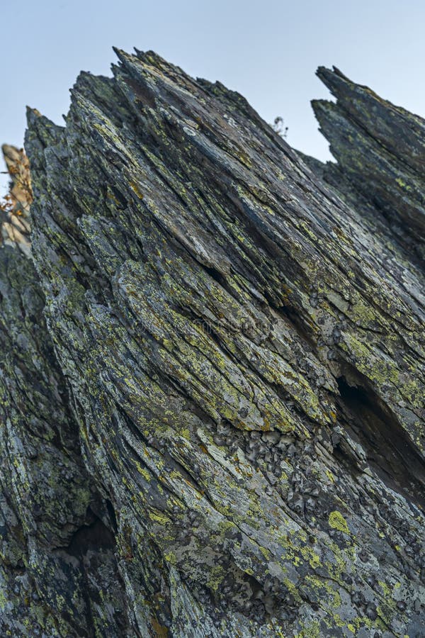 Geological Pattern Where Dark Markings Cluster Together To Form Dense ...