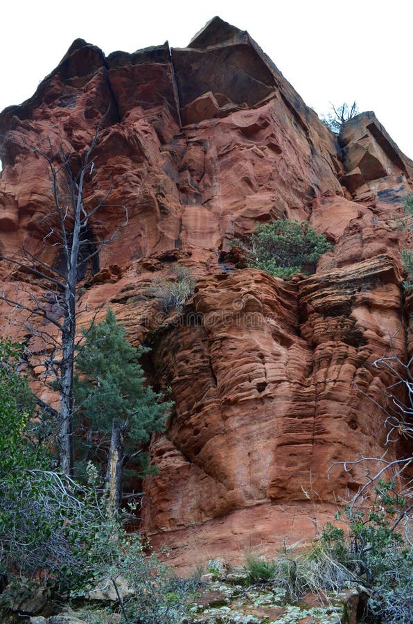 Geological Red Rock Formation with a Smattering of Tree Stock Photo ...