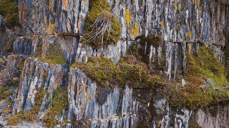 Geological Rock Formation with Vertical Structure and Moss Covered ...