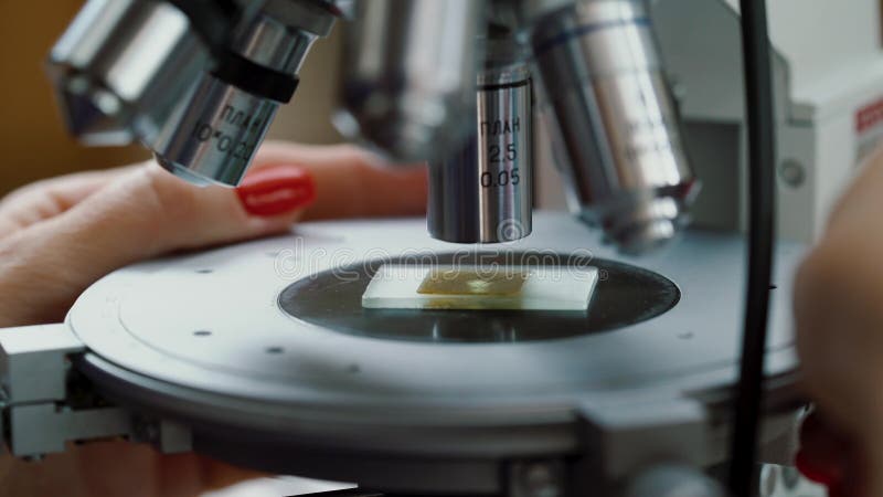 Geological Rock Sample on the Slide Glass Under the Light Microscope ...