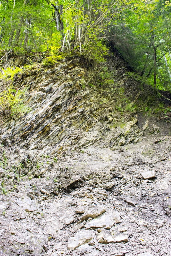 Geological Strata in the Forest Stock Image - Image of stones, forest ...