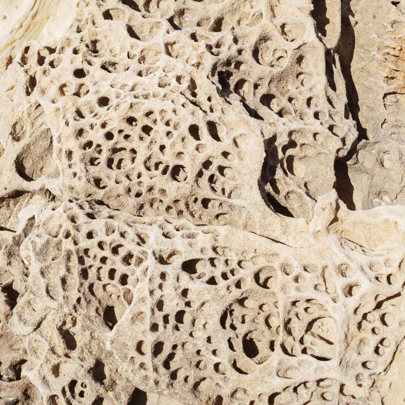 Natural Texture with Hazelnut Color and a Pattern of Fractures Stock ...