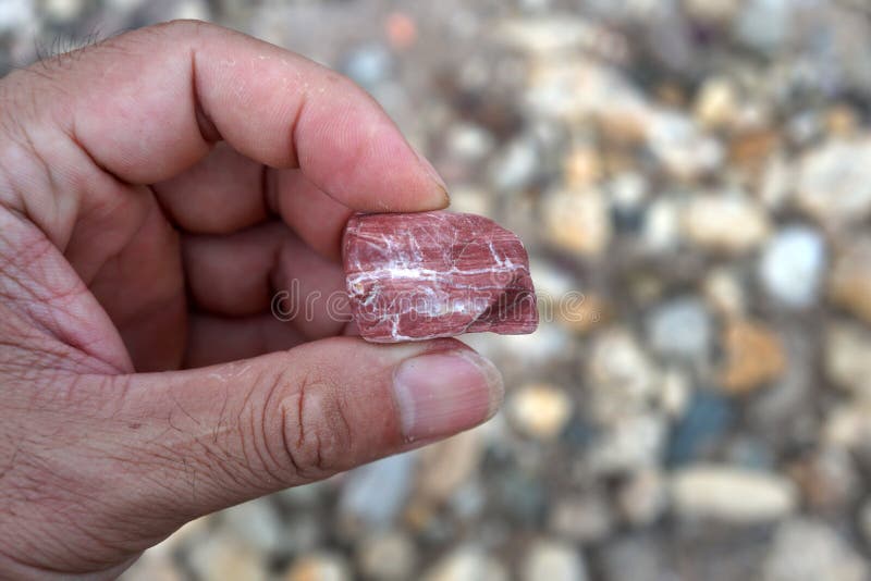 Geologist S Hand is Holding a Specimen of Raw Red Jasper Stone with ... Geologist S Hand is Holding a Specimen of Raw Red Jasper Stone with ...