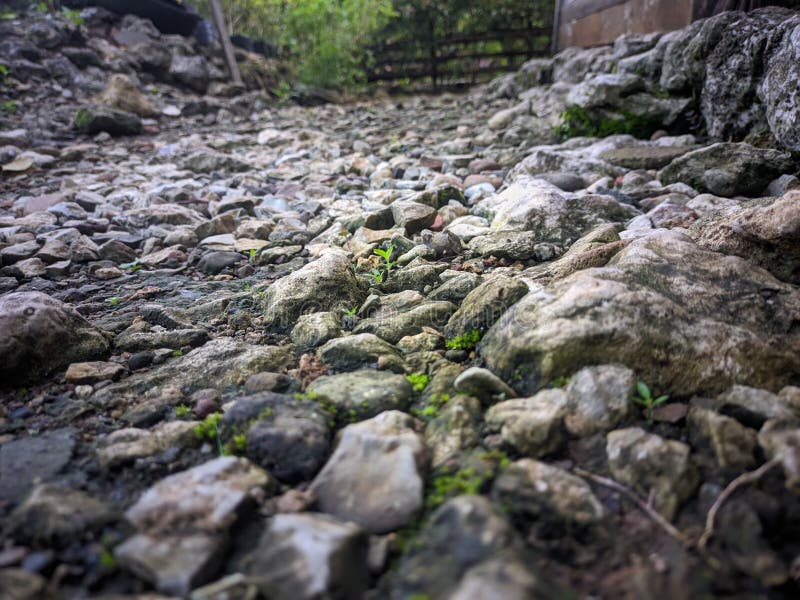 Ofmineralsormineraloidmatter Stock Photos - Free & Royalty-Free Stock ...