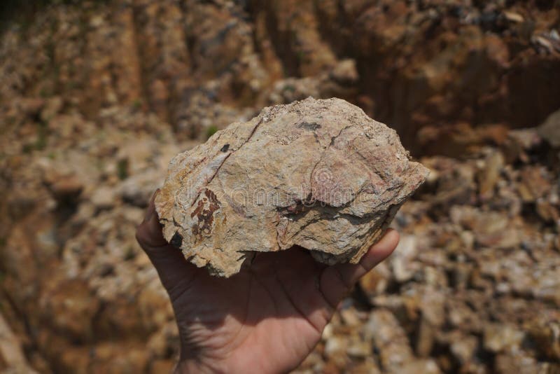 Raw Specimen of Shale Sedimentary Rock in Hand. Stock Image - Image of ...