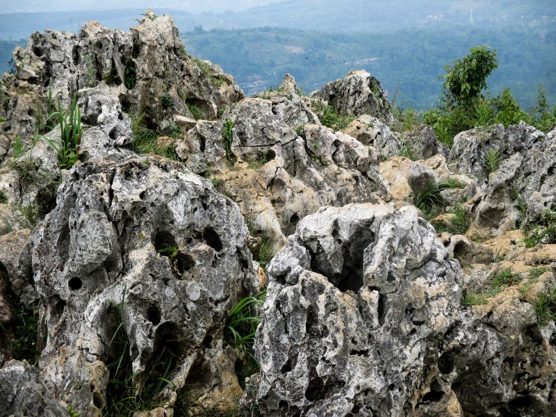 Geology stone park garden stock photo. Image of adventure - 314145004