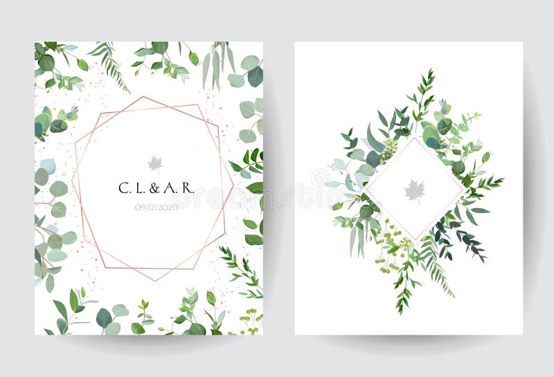 Geometric Botanical Vector Design Frames on White Background Stock ...