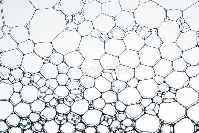 Geometric Cells Formed by Soap Bubbles and Water, for Background or ...