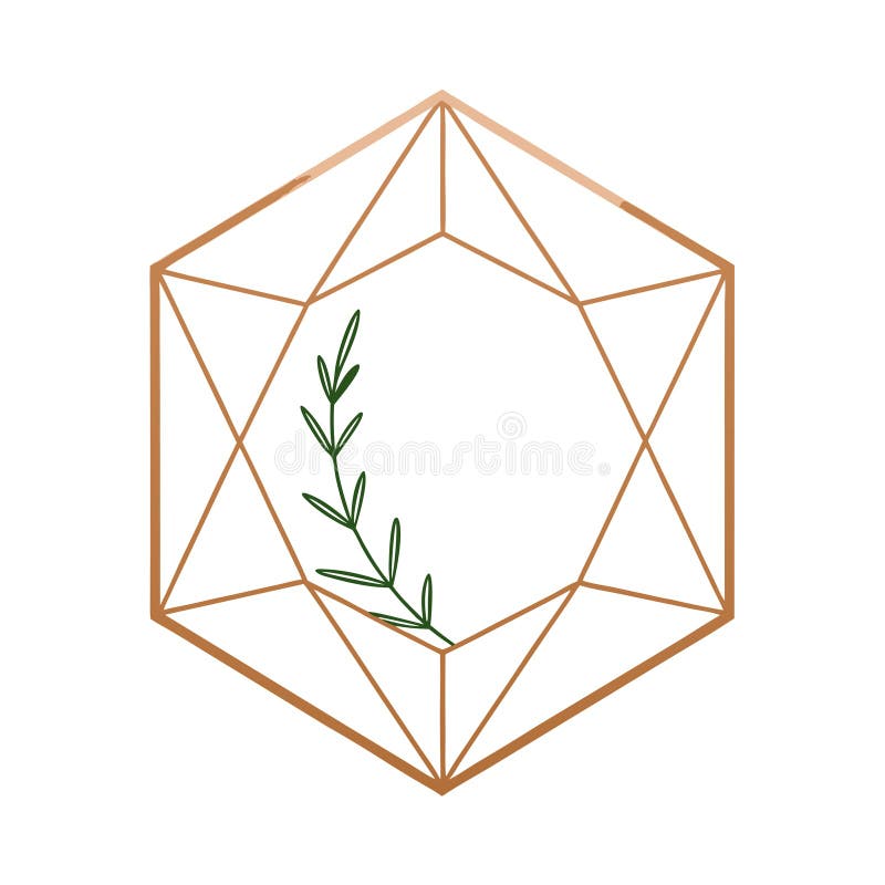 Geometric Copper Frame with Green Plant Branch Element, Isolated on ...