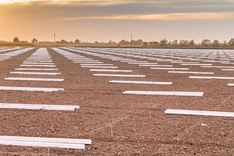 Geometric Designs of Support Poles in Farmlands Stock Photo - Image of ...