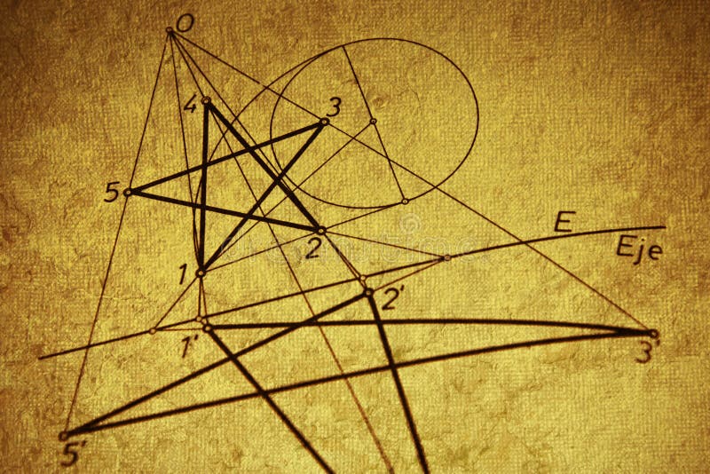 Geometric Drawing on Algae Agarum is Similar To Lace. Stock Photo ...