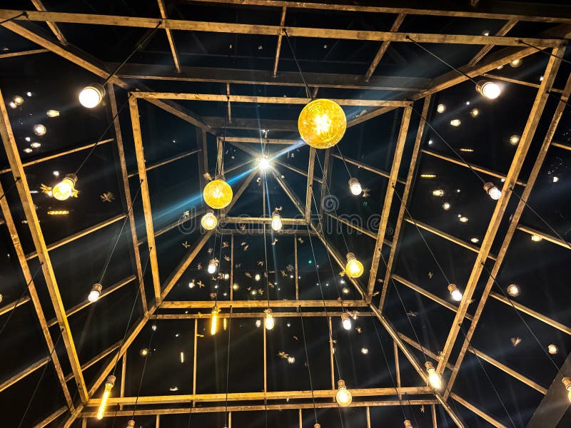 Geometric Glass Ceiling with Warm Hanging Lights and Insects in Motion ...