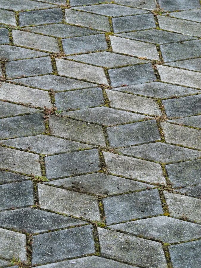 Geometric Hexagonal Stone Pavement with Natural Growth between Tiles ...