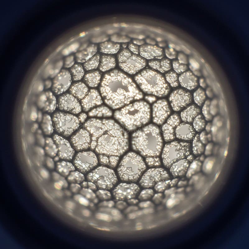 Translucent Irregular Geometric Shapes Stock Illustrations – 276 ...