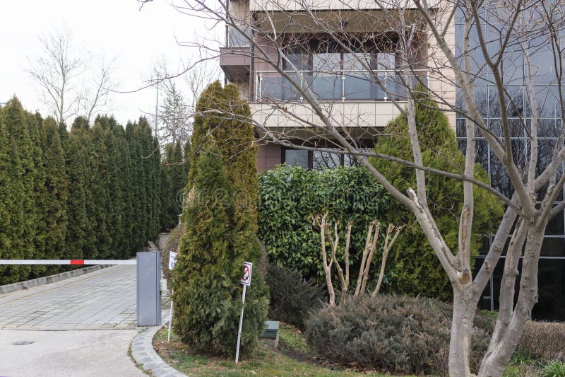 Geometric Landscaping Shrub, Chewing Hedge Stock Photo - Image of ...