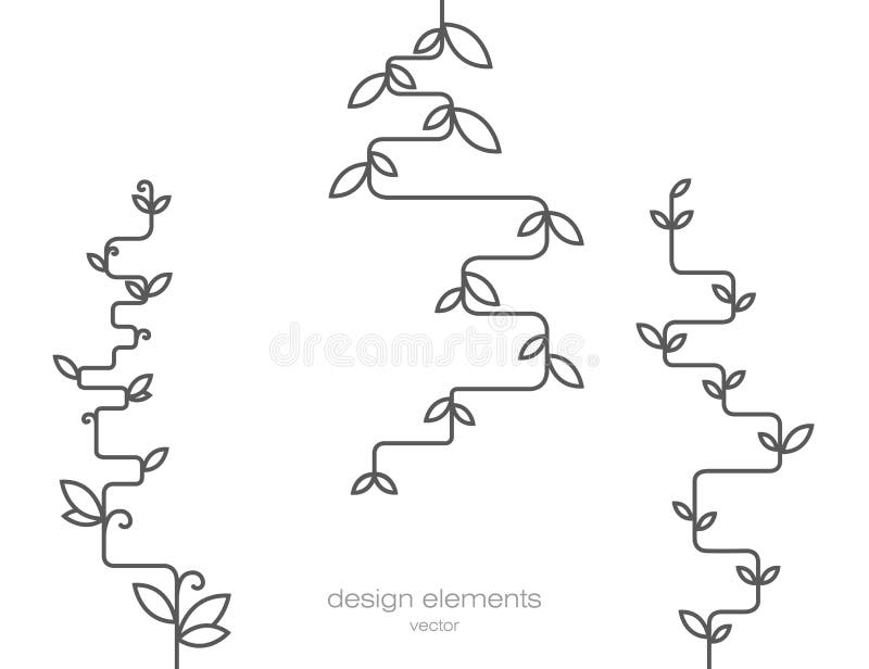 Geometric Liana with Leaves. Design Objects Stock Vector - Illustration ...
