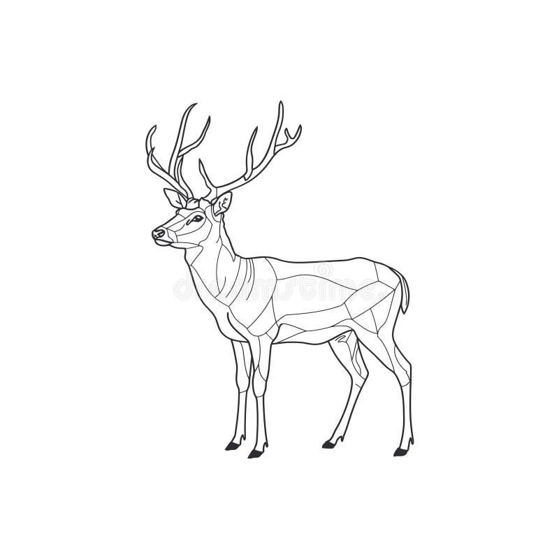 Stag Drawing Stock Illustrations – 16,841 Stag Drawing Stock ...