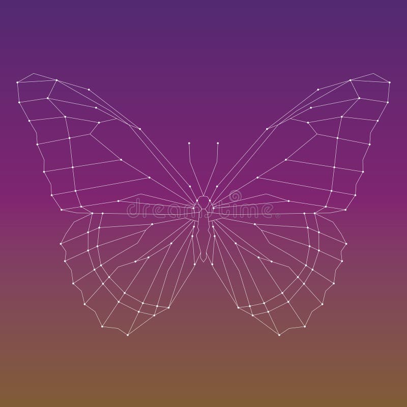 Geometric linear butterfly stock vector. Illustration of modern - 87469817