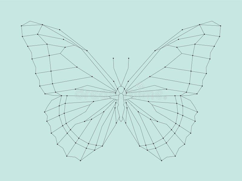 Geometric linear butterfly stock vector. Illustration of linear - 87998081