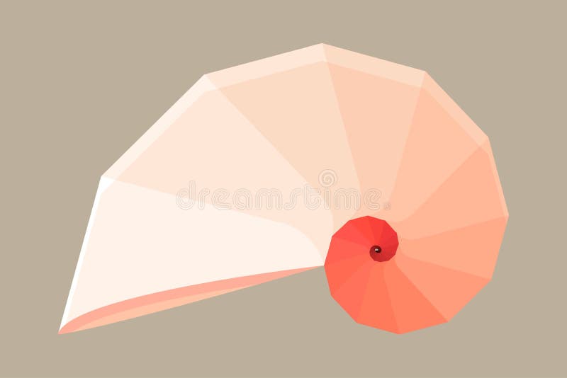 Geometric Nautilus Shell Symbol Stock Vector - Illustration of isolated ...