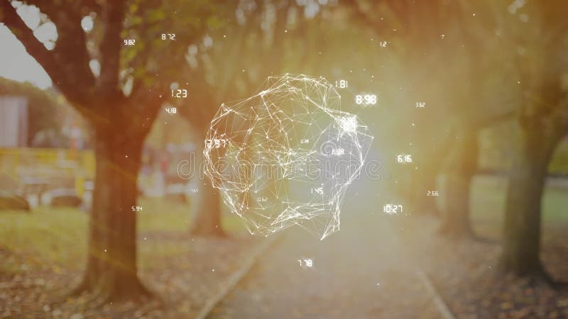 Geometric Network and Data Points Animation Over Park Pathway with ...