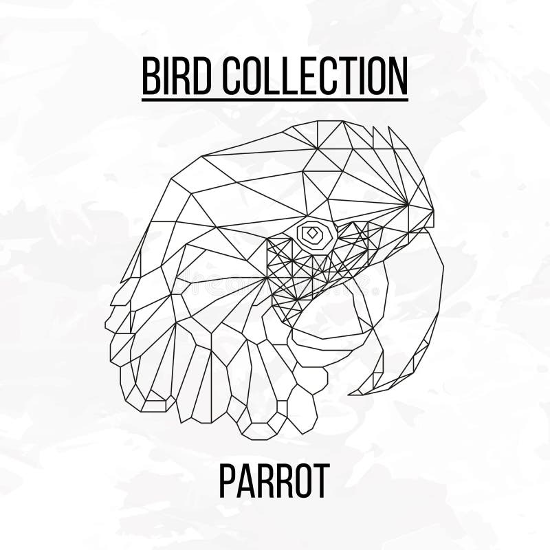 Geometric parrot head stock vector. Illustration of illustration - 69905875