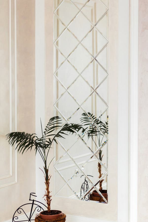 Wall Mirror with Geometric Pattern and Indoor Plant Stock Photo - Image ...