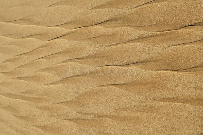 Geometric Patterns on Beach Sand in the Form of a Feather Stock Photo ...