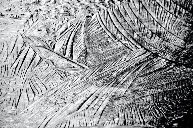 Patterns in Lake Ice stock photo. Image of frozen, curve - 207025964