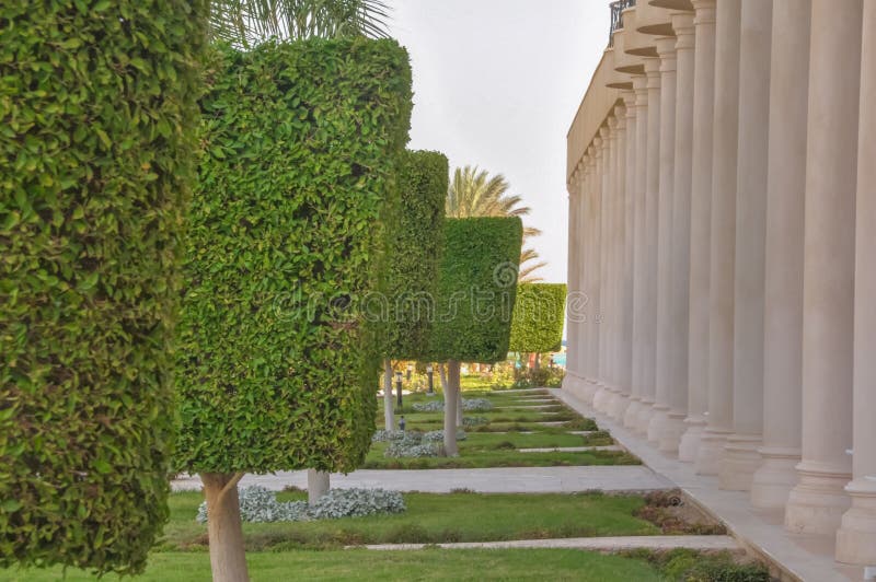 Geometric Photo. Columns of a Building Near Green Square-shaped Trees ...