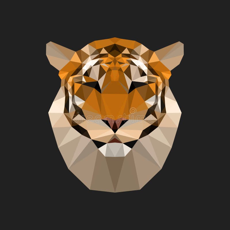Geometric Polygon Tiger Illustration Stock Vector - Illustration of ...