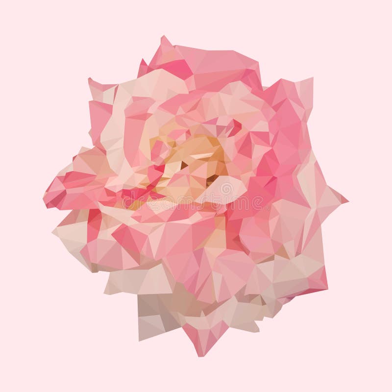 Polygonal Pink Rose. Poly Low Geometric Triangle Flower Vector Stock ...