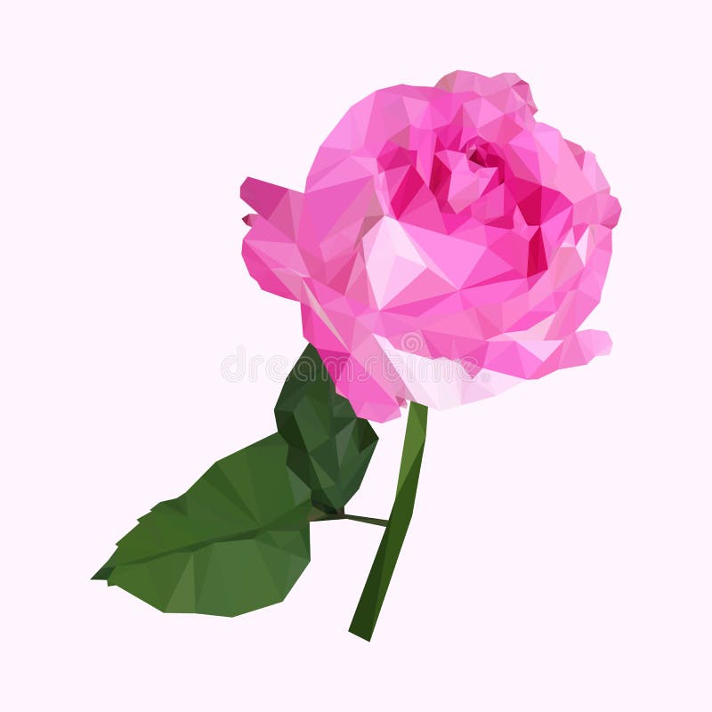 Polygonal Pink Rose. Poly Low Geometric Triangle Flower Vector Stock ...